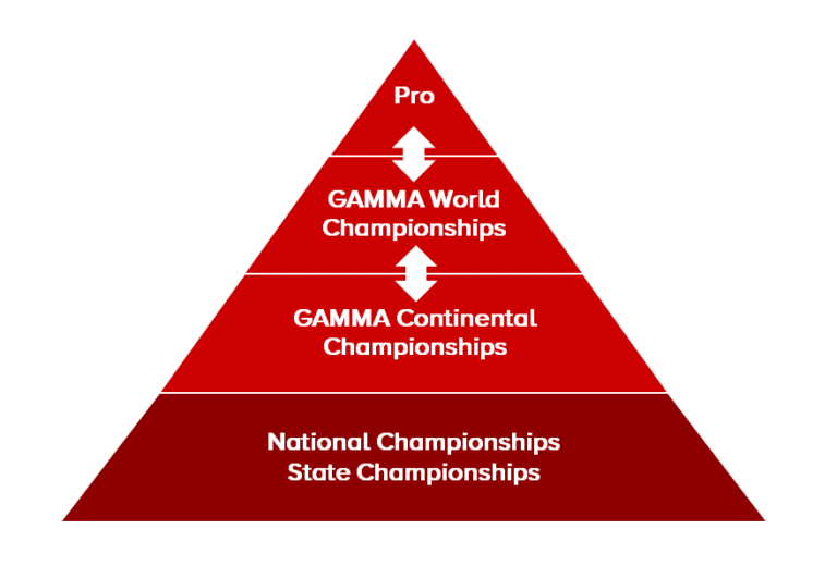Estructura de la Competencia - OCAMM